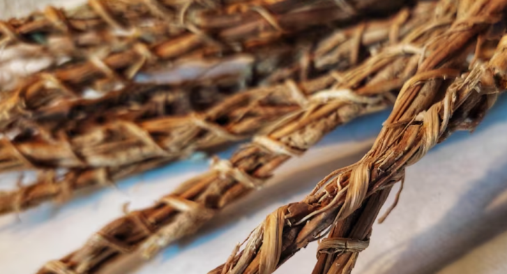 Découvrez les bienfaits surprenants des racines de Khamaré pour la ...